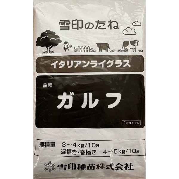 中生種で耐寒性、耐暑性はやや劣ります。最も多く作られている品種です。青刈、サイレージ、水田裏作に利用できます。短期利用向き品種です。