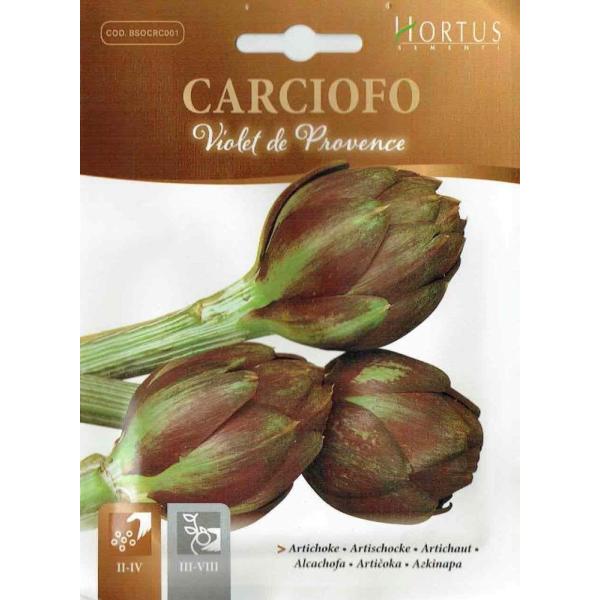 アザミに似た花を咲かせる多年草です。チョウセンアザミとも呼ばれ、開花前の大きなつぼみを切り取り下部の肉厚の部分を食べます。日本ではあまり見かけませんがイタリアでは古くから高級野菜として知られています。バイオレット（Violetto di R...