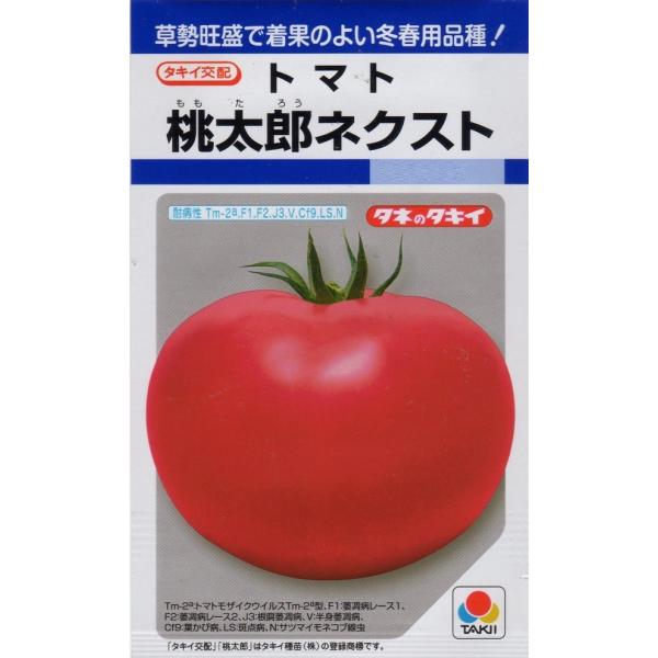 着果しやすく露地栽培でも作りやすい桃太郎の改良版です。家庭菜園でも安定した品質で本格的桃太郎が栽培できます。葉かび病（Cf9）に強く、青枯病にも比較的強い品種です。