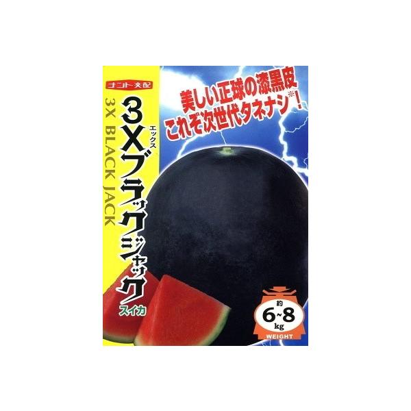 真っ黒な縞無しの迫力ある外観で他品種との見分けが容易です。三倍体利用のタネナシ西瓜なので、強草姿で病害に強い！高糖度で締まった果肉はシャリ感に富み、日持ち性に優れる！従来のタネナシ西瓜に比べて、空洞果・シイナ・厚皮の発生が少ない。