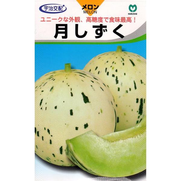 純白の果皮に緑色の斑点が入る非常に珍しい外観のノーネットメロンです。果形はやや腰高球で、1.6〜1.8kgになります。果肉は淡緑色、緻密な肉質で食味に優れます。糖度は15〜16度に安定します。