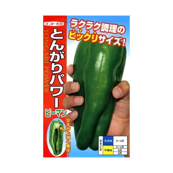 ジャンボ肉厚ピーマンで、タネが丈夫に集まり調理が簡単！樹勢が旺盛で維持が容易、花芽が多い多収性品種です。