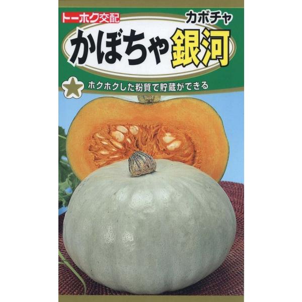 ポクポクした粉質で味がよく、約3ヶ月間貯蔵ができる果重1.5〜2kgの大玉種です。雌花開花後45〜50日から収穫でき、1週間くらいからおいしく食べられます。