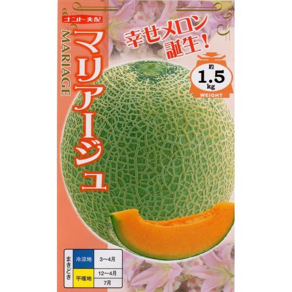 美しい外観と極上の食味を兼ね備えた地這系赤肉ネットメロンです。ツル割れ病レース0.2に抵抗性で、ツル持ちも良い。