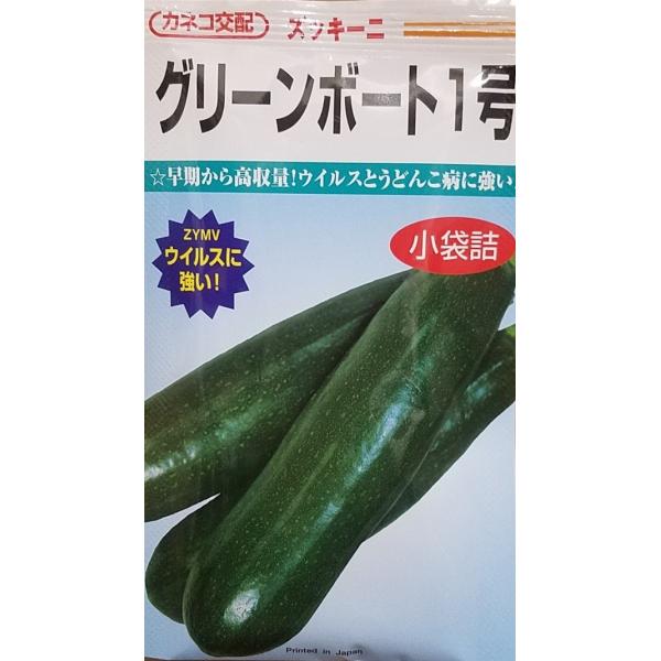 ・果実は濃緑色の円筒形、長さ15〜20cmで収穫できます。・つるが伸びないため小面積での栽培ができ、家庭菜園にも適します。・生育初期より安定して雌花が咲き、初期から高い収量を上げられます。・ズッキーニ黄斑モザイクウイルス（ZYMV）およびカ...
