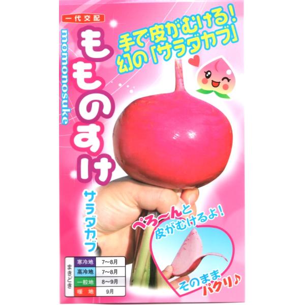 ・外皮に切れ込みを入れると、手で綺麗にひと皮むける。<br>・播種後55日くらいで8cm程度の中蕪となるが、12cm程度まで大きくできる。<br>・葉は60cm、茎は淡い緑で薄く紅色が入る。<br>・葉の...