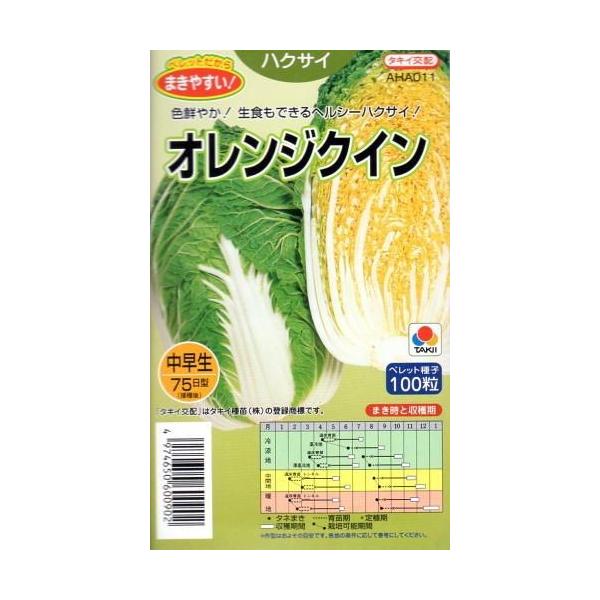 ・結球内部の色が鮮やかな橙黄色で、栄養価にすぐれる。・タネまき後75日余りで2.5kg、日をおけば3.0kgに太る中早生種。・歯切れがよくて青臭みが少ないので、生食サラダ用にも利用可能。