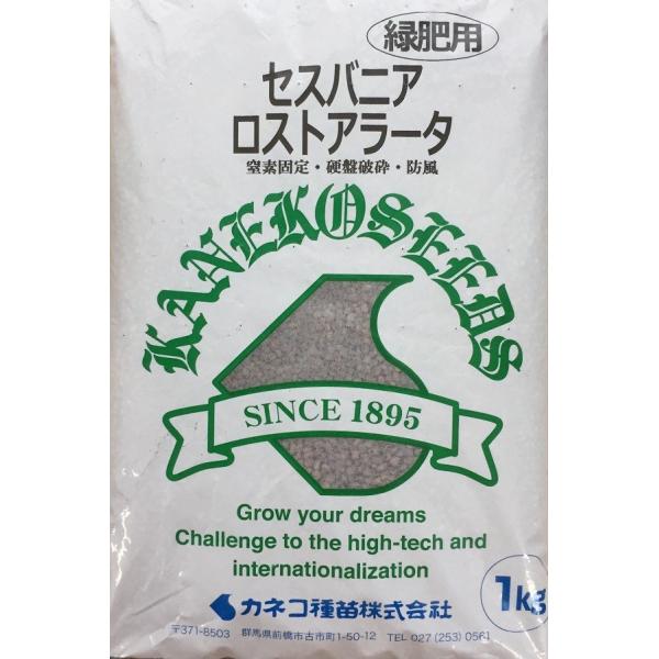 1,硬盤破砕能力が高く、土壌の排水性、 通気性を高めます。2.草丈は3〜4m、根は1m以上も深く入り、重粘土質土壌や、湿害圃場の改善に効果的です。3,茎には空中窒素を固定する茎粒が着生する品種です。