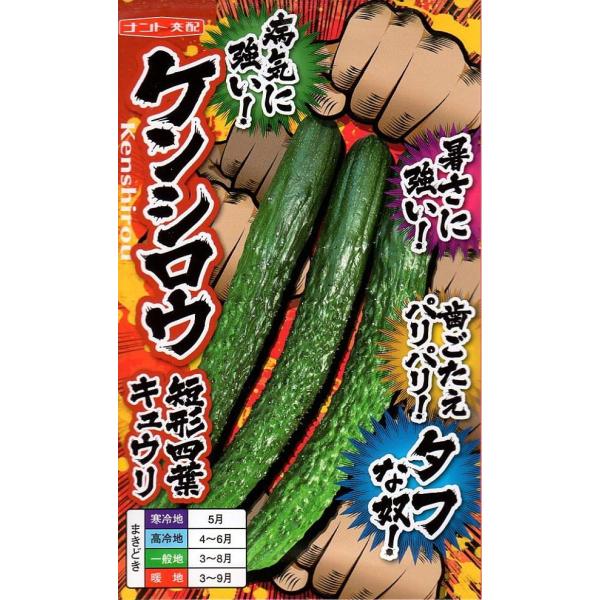 従来の四葉よりも扱いやすい短形四葉タイプ。モザイク病（ZYMV）・うどんこ病・べと病に耐病性。パリッとした歯ごたえは四葉ならでは、食味は最高です。側枝の発生は良く、収穫の波が発生しにくく安定している。