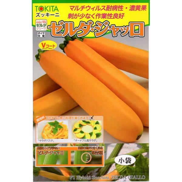 果長20cm前後、太さ2.5〜3cmの均等な円筒形。果色は、艶のある濃い黄色の果皮には紋も無く、発色がよく高品質。草姿は立性で、葉柄に刺が少なく収穫作業が良い。果皮の傷つきも少ない。ウイルス病（ZYMV、WMV、CMV）に強く、栽培が容易で...