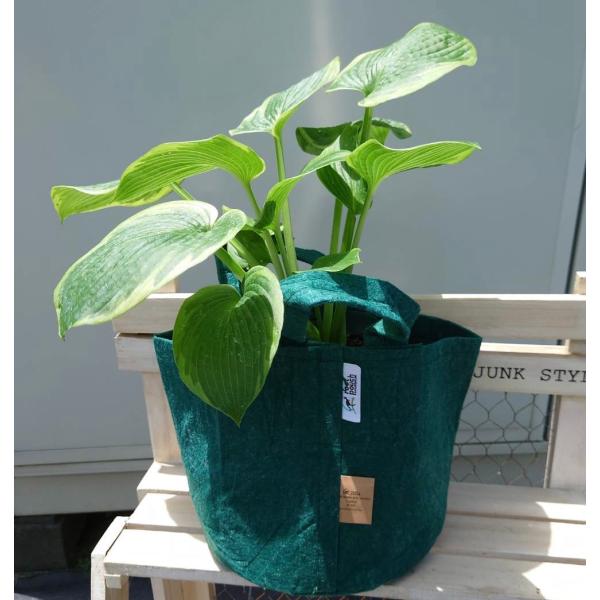 不織布なのでやわらかく、プラスチックや陶器のプランターに比べ扱いやすく、割れる心配もなし。折り曲げて使えば、高さも変えられます！とっても便利なプランターです。持手付きなので、持ち運びも簡単。持手をひっかければ、ハンギングプランターにもなりま...