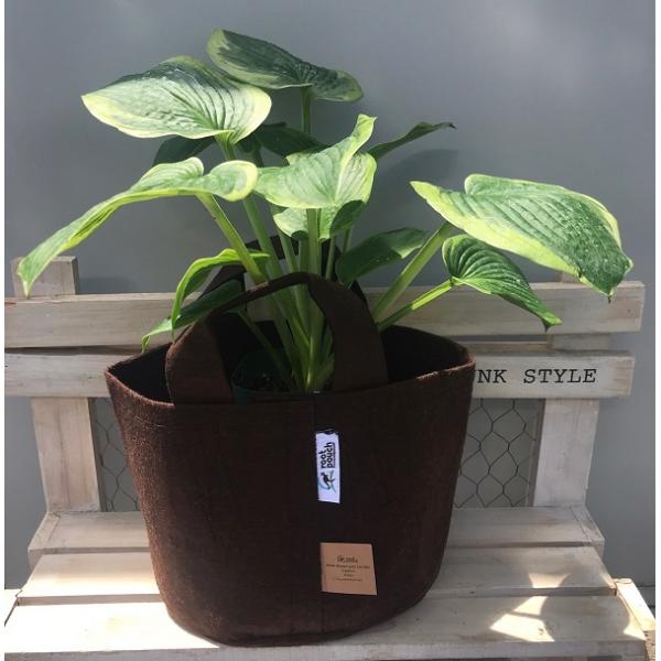 不織布なのでやわらかく、プラスチックや陶器のプランターに比べ扱いやすく、割れる心配もなし。折り曲げて使えば、高さも変えられます！とっても便利なプランターです。持手付きなので、持ち運びも簡単。持手をひっかければ、ハンギングプランターにもなりま...