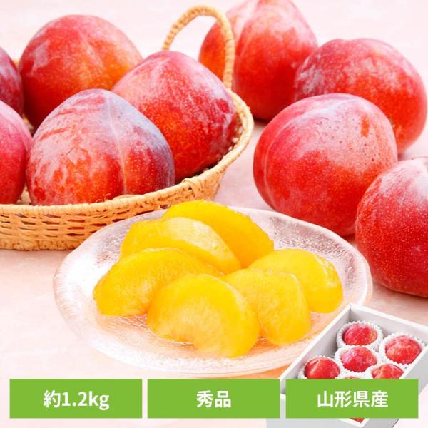 （検索用：山形県産 プラム 秋姫 すもも お取り寄せ 送料無料 産地直送 フルーツ ご褒美 季節の贈り物 ）●優良配送・届け日指定対象商品につきまして●下記の場合は対象外となります。・13時以降(休業日は12時以降)のご注文の場合・お届け先...