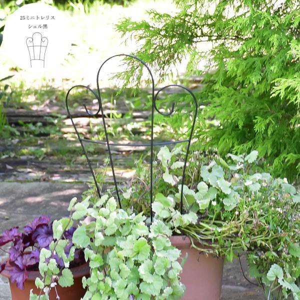 【商品名】 25ミニトレリス シェル 黒【メーカー名】 大同クラフト【カタログサイズ】　幅24.5 × 奥行き4 × 高さ40.5cm　差込み部：高さ8cm【無作為抽出の実測サイズ】　幅約24.5 × 奥行き約3.3 × 高さ約41cm　差...