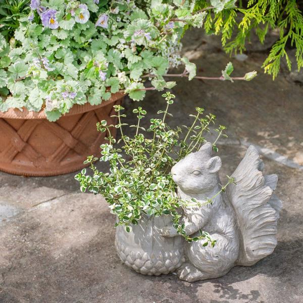 【商品名】ソーニョポット リス A【メーカー名】DELLKI（デルキ）【カタログサイズ】W230×D110×H200mm/内径Φ70mm【実測重量】約2.1kg【材質】セメント【カラー】アンティーク【生産国】中国