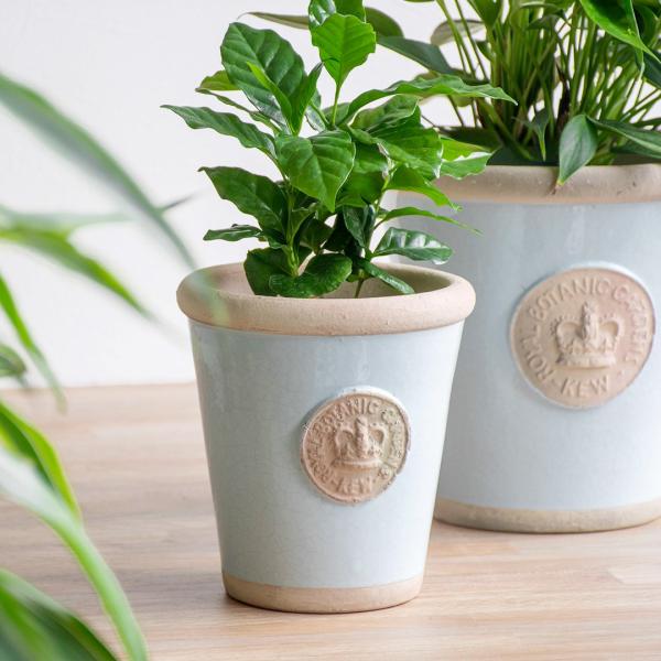 【商品名】Kew Long Toms Small【メーカー名】Terrace ＆ Garden【カタログサイズ】φ14×H16cm【実測サイズ】口内寸φ11.5、鉢底φ9.5cm【重さ】約1.2kg【素材】テラコッタ【製造国】フィリピン（時...