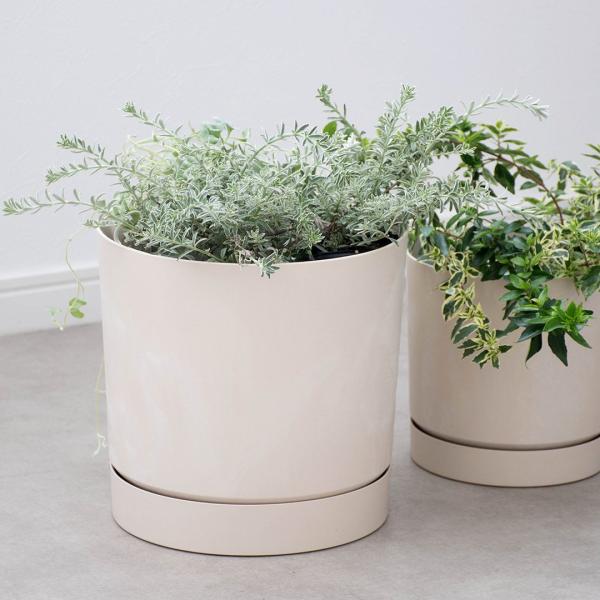 【商品名】プロスパー トゥーボ B S 24【メーカー名】Prosperplast（プロスパープラスト）【カタログサイズ】φ24(23)×23cm※カッコ内は内寸【容量】7L【重さ】約0.5kg【素材】ポリプロピレン樹脂（100%リサイクル...