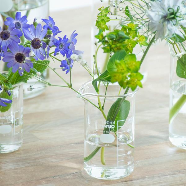 【商品名】トールビーカー 100mL【メーカー名】HARIO/ハリオサイエンス【カタログサイズ】約W50×D50×H90mm【容量】100mL【素材】耐熱ガラス【耐熱温度差】120℃【原産国】日本【ポイント】HARIOの耐熱ガラスは、100...