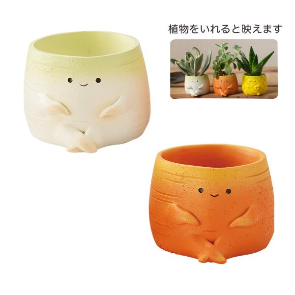 野菜・植物シリーズ　だいこんとにんじん　です。こちらは野菜・植物シリーズで、艶かしいパーツにとぼけた顔のギャップと、入れる植物によって見た目が変わる楽しさが魅力の商品です。多肉からプリザーブドフラワーまで様々な植物と相性バッチリで、クリップ...