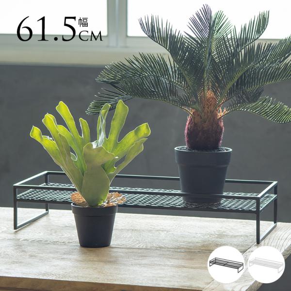 カラー:ブラック、ホワイト材質:アイアンサイズ/重さ:幅61.5cm×奥行22.5cm×高さ11cm備考:■植物に奥行きを、空間にセンスを添えるプランタースタンド洗練されたアイアンフレームに、メッシュの天板を合わせた抜け感のある佇まい。ミニ...