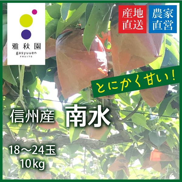 【発売日：2026年09月01日】9月20日頃から発送開始予定です！南水のご購入なら長野県南信州の雅秋園。１年間丁寧に育てた瑞々しい秋の味覚を収穫したてでお届けいたします！