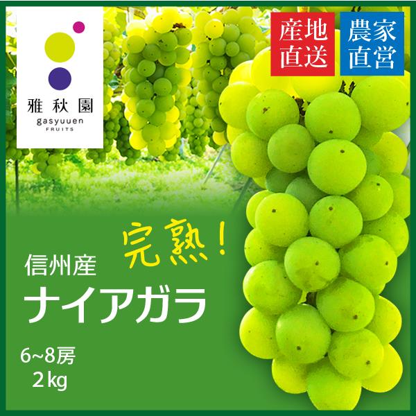 9月7日から今シーズンの発送を開始します！当園の主力品種です。独特の甘い香りが特徴です。皮が柔らかく破れやすいため、完熟したものは市場には　ほとんど出回りません。種ありです。種の周りは酸いので、噛まずにそのまま種ごと飲み込むのがお勧めです。...