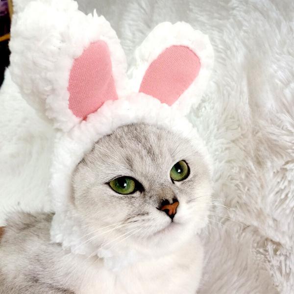 かぶるだけで猫がうさぎに大変身！簡単に変身できちゃう人気のねこちゃん用被り物です！手触りのよい生地はふんわりしていているので、しっかりボリューム感が出ます。フワフワうさみみでかわいさUP！被せるのもとっても簡単！被せて、あご部分にあるマジッ...