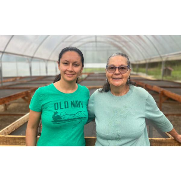 明るく円熟した甘さオレンジや黄桃、ベイクドアップルなど明るく軽やかなフレーバーと、サトウキビのような甘さの印象が心地よいバランスの取れた良質なカップに仕上がっています。ブラックハニーらしいビター感やチョコレート感を出すようでしたら、中煎り以...