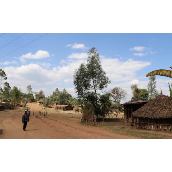 アナソラ ナチュラルに比べて、アナエロビックの発酵感がはっきりしている風味特性で、ドライレーズンやプルーン、少しラム酒のようなアルコリックなアロマやシナモンのようなアロマなど特徴的なコーヒーに仕上がっています。十分にクリーンなカップの印象が...