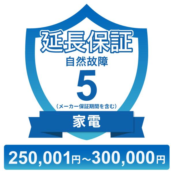家電自然故障保証【5年に延長】250,001円〜300,000円 チケット