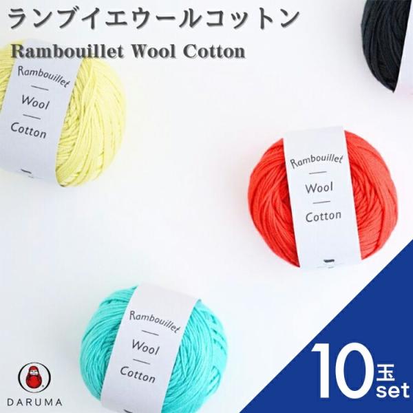 ランブイエメリノウールのスポンディッシュできめ細やかな質感と、自然な光沢が美しいスーピマコットンをブレンドした贅沢な糸。春先や秋口など気持ちの良い季節に楽しめる糸です。コットンの持つさらっとした肌ざわりがありながら、ウールの持つ柔らかくなめ...