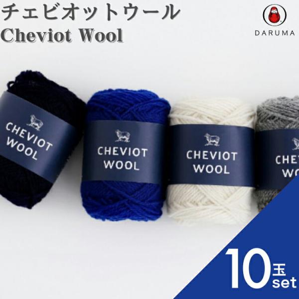 イングランドとスコットランドの境に位置するチェビオット丘陵に生息することから名前が付けられた英国羊毛。気温が低く、岩や石が多い厳しい自然環境の中で育つことで、その毛質はしっかりとしたコシ感のある強いものになります。膨らみがあるとても軽い糸で...
