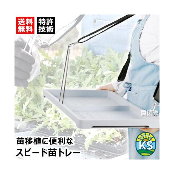 納期について：【取寄】通常3〜5日の発送予定(土日祝除く)●一人でも手軽に苗の植え付けができる、特許技術の苗植え専用トレー■仕様品名:KSFARM スピード苗トレー トレーサイズ:(外寸サイズ)幅608mm×奥行320mm×高30mm[バン...