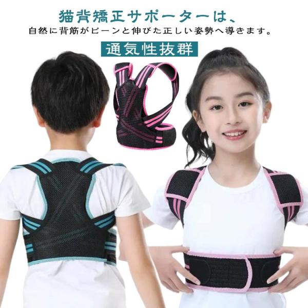 S 体重15-22.5kg<br>M 体重25-37.5kg<br>L 体重35-47.5kg<br>XL 体重45-60kg