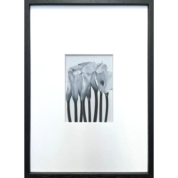 他の・「アート・絵画」・を見る 他の・「は」・を見る 他の・「PHOTO」・を見る   サイズ  外寸：275x382x20mm  素材  天然木・ペット樹脂・紙  生産国  日本  送料  全国一律送料無料(北海道・沖縄・離島は配達不可)...