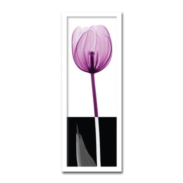 他の・「インテリア雑貨」・を見る 他の・「アートパネル」・を見る 他の・「Steven N Meyers」・を見る   サイズ  W355×H965×D15mm  素材  天然木、紙、PET  生産国  日本  カラー  （ヒモ付）  送料...