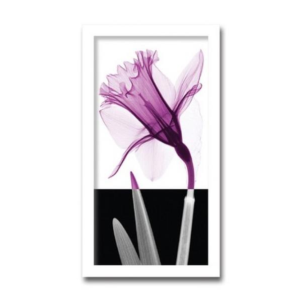 他の・「インテリア雑貨」・を見る 他の・「アートパネル」・を見る 他の・「Steven N Meyers」・を見る   サイズ  W350×H650×D15mm  素材  天然木、紙、PET  生産国  日本  カラー  （ヒモ付）  送料...