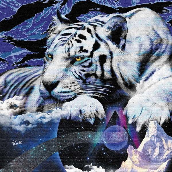 他の・「インテリア雑貨」・を見る 他の・「アートパネル」・を見る 他の・「Galaxy Graphics」・を見る   サイズ  Lサイズ（W57cm×H57cm）  素材  キャンバス、木枠  生産国  日本  商品詳細  軽量の木材と本...