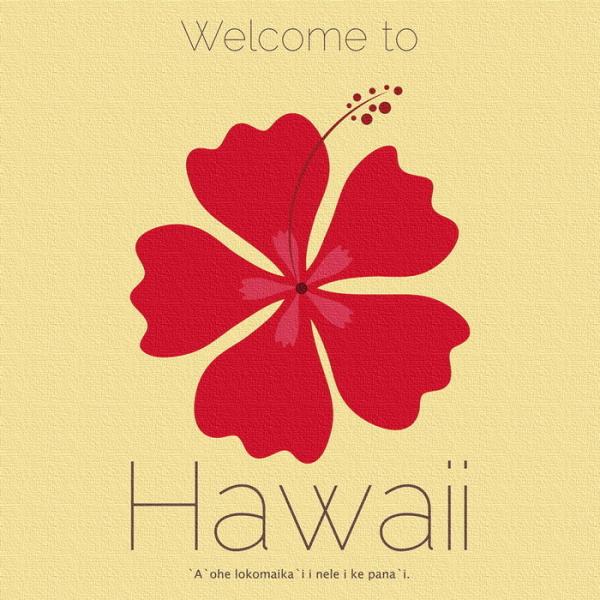 他の・「インテリア雑貨」・を見る 他の・「アートパネル」・を見る 他の・「ハイビスカス」・を見る   サイズ  Sサイズ（W15cm×H15cm）  素材  キャンバス、木枠  生産国  日本  商品詳細  軽量の木材と本物のキャンバスから...