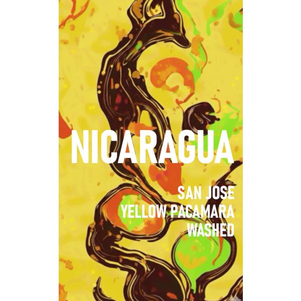 ニカラグア サンホセ イエローパカマラベリーやオレンジ、トロピカルフルーツを感じさせる酸と甘み。酸だけでなくキャラメルのようなビター感ももち合わせたボディも輪郭が太くしっかりした珈琲生産者のミエリッヒは、10の農園で10数種の品種を生産し、...