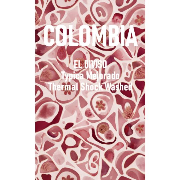 桃、トロピカルフルーツ、ベリーなどフルーティさや甘さ乳酸の爽やかな感じを楽しむ珈琲競技会でも使用される希少なマイクロロットや革新的な発酵技術などでも注目を浴びるコロンビアの有名農園。プロセスはウォッシュトのなかでも特殊なサーマルショックウォ...