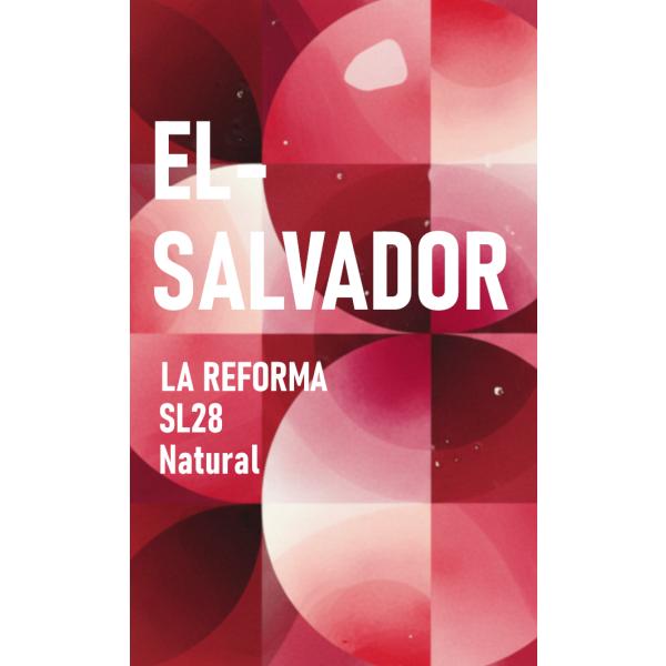 熟したクランベリー、無花果、アプリコットなどを感じるフルーティーな珈琲に仕上がっています。華やかなフレーバーだけでなく、甘さやマウスフィールの質も心地よい珈琲ラ・レフォルマ農園は、1892年にラファエル・アルバレス・ラリンデによってサンタ・...