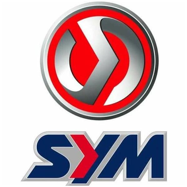 SYM　純正品 CDIパーツ番号：30400-A3F-000※必ずパーツ番号をご確認のうえご購入お願い致します。