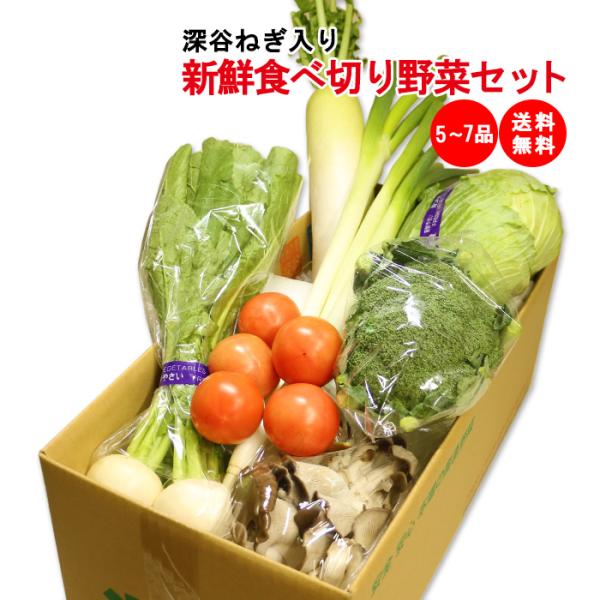 品目：新鮮食べ切り野菜セット 5〜7品目（深谷ねぎ入り）産地：埼玉県深谷市産〇規格深谷ねぎ３本（本数は変更になる場合があります）と季節ごとに厳選してお届けします。１〜２人家族の方にピッタリの宝箱のような野菜セットです。旬の野菜を食卓に！〇発...
