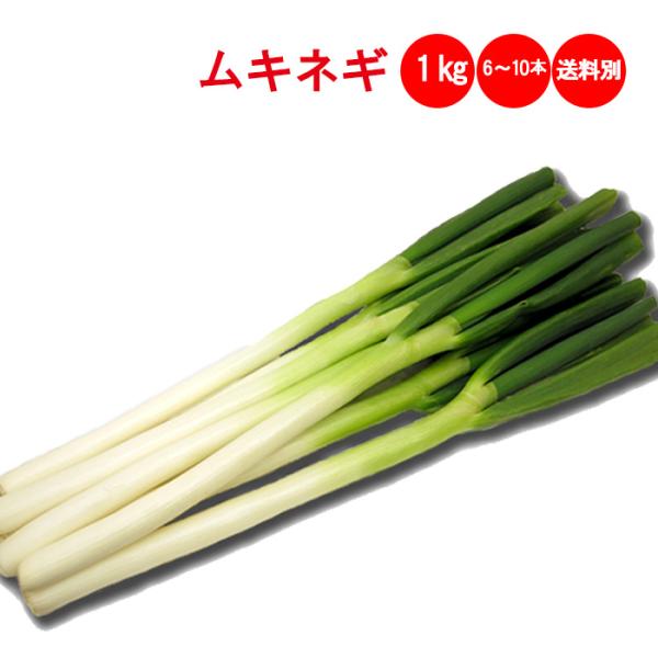 品目：深谷ねぎ・むきねぎ入数：１ｋｇ（約６本から１０本入り）Lサイズ/Mサイズ：Ｌサイズがメインとなります。収穫のタイミングでMサイズになることもあります。〇発送条件11月16日〜3月：常温発送4月〜11月15日：冷蔵発送（クール便）※気温...