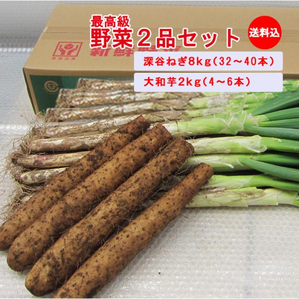 【発売日：2025年11月15日】〇品目：野菜２品セット※贈答用ねぎ使用 ※本場の深谷ねぎと大和芋のセットです。※大切な人に贈ってみてはいかがですか？。〇入数： 深谷ねぎ8Kg（32〜40本）大和芋2Kg（４〜６本）〇発送条件12月から発送...