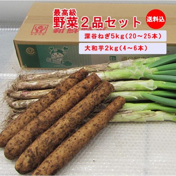 【発売日：2025年11月15日】〇品目：野菜２品セット※贈答用ねぎ使用 ※本場の深谷ねぎと大和芋のセットです。※大切な人に贈ってみてはいかがですか？。〇入数： 深谷ねぎ5Kg（20〜25本）大和芋2Kg（４〜６本）〇発送条件12月から発送...