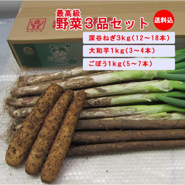 【発売日：2025年11月15日】〇品目：野菜３品セット※贈答用ねぎ使用 ※本場の深谷ねぎ、大和芋、ごぼうのセットです。※大切な人に贈ってみてはいかがですか？。〇入数： 深谷ねぎ3Kg（12〜18本）大和芋1Kg（３〜４本）ごぼう1kg（約...