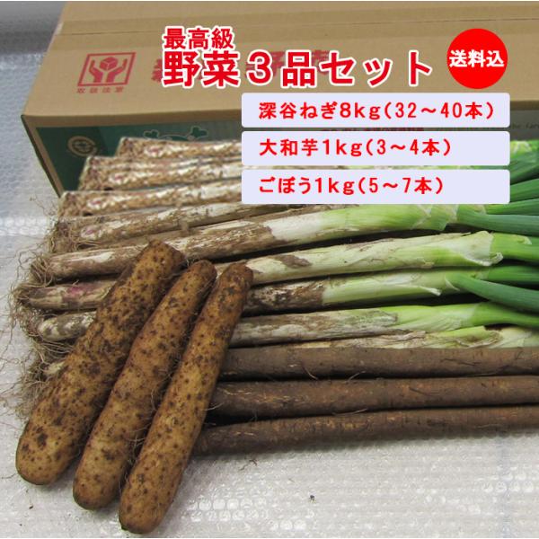 【発売日：2025年11月15日】〇品目：野菜３品セット※贈答用ねぎ使用 ※本場の深谷ねぎ、大和芋、ごぼうのセットです。※大切な人に贈ってみてはいかがですか？。〇入数： 深谷ねぎ8Kg（32〜40本）大和芋１Kg（３〜４本）ごぼう1kg（約...