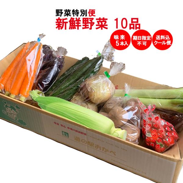 【発売日：2025年05月12日】〇品目：夏ギフト 野菜特別便 新鮮野菜10品〇産地：埼玉県深谷市産〇商品内容：１）味来×５本２）ムキネギ×３本３）きゅうり×３本４）玉ねぎ600g５）じゃがいも600g６）ミニトマト200g７）大和芋×１本...